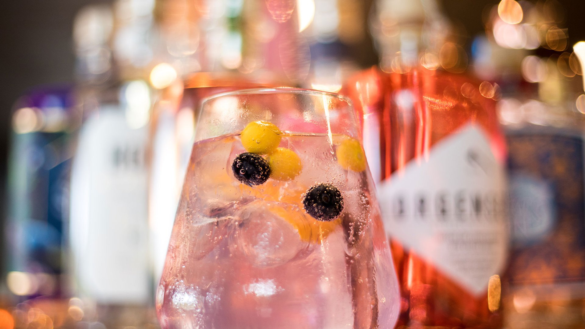 Gin Experience - Sabi Sand | Silvan Safari